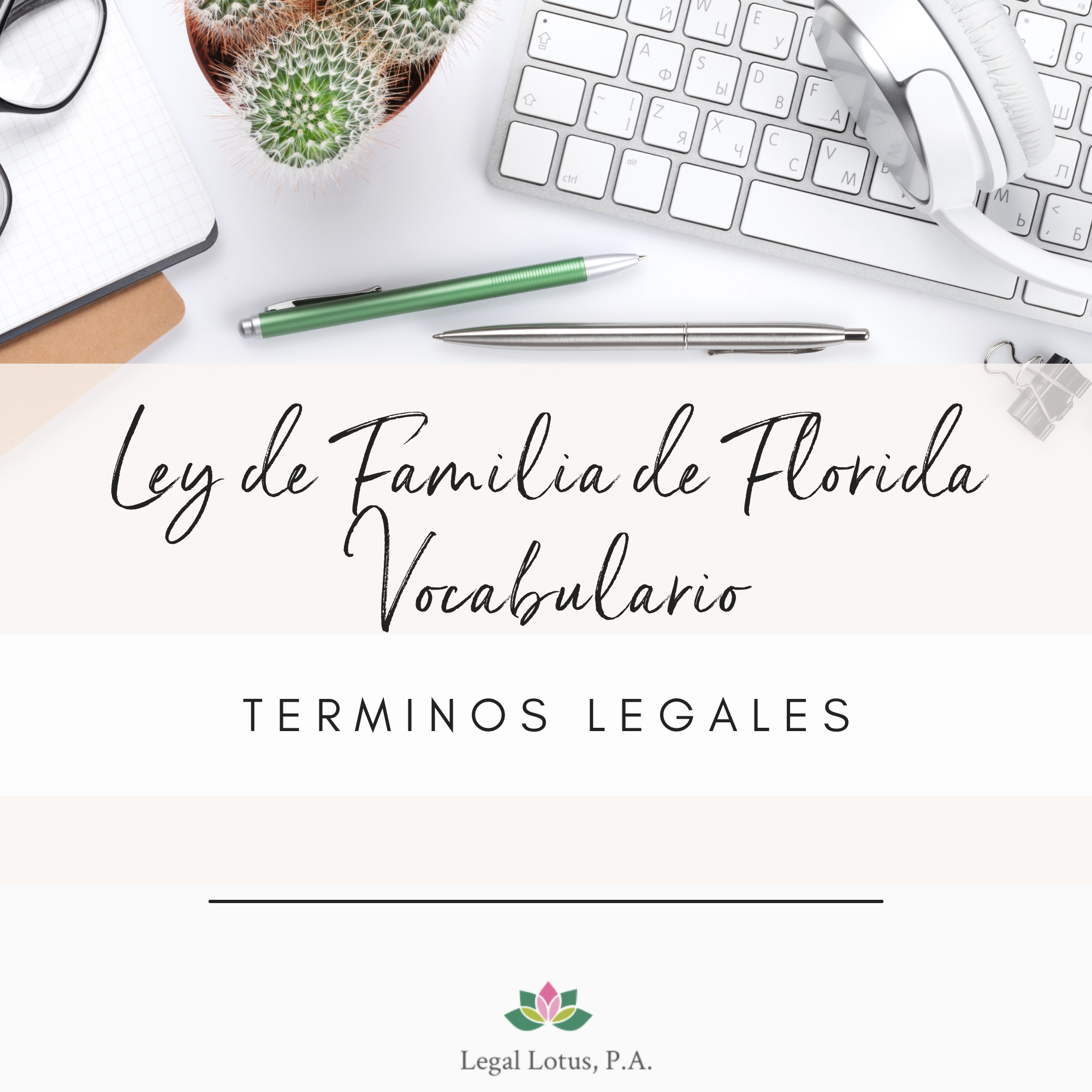 Libro de Vocabulario de Derecho Familiar